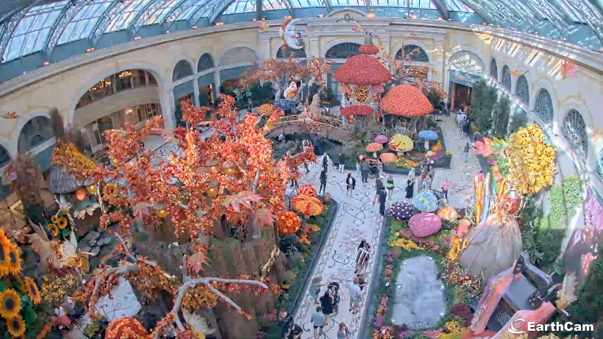 Bellagio Conservatory Las Vegas