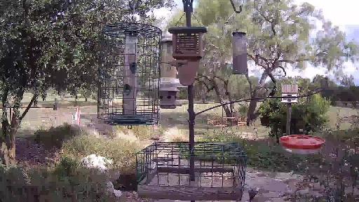 EarthCam - Webcam Network