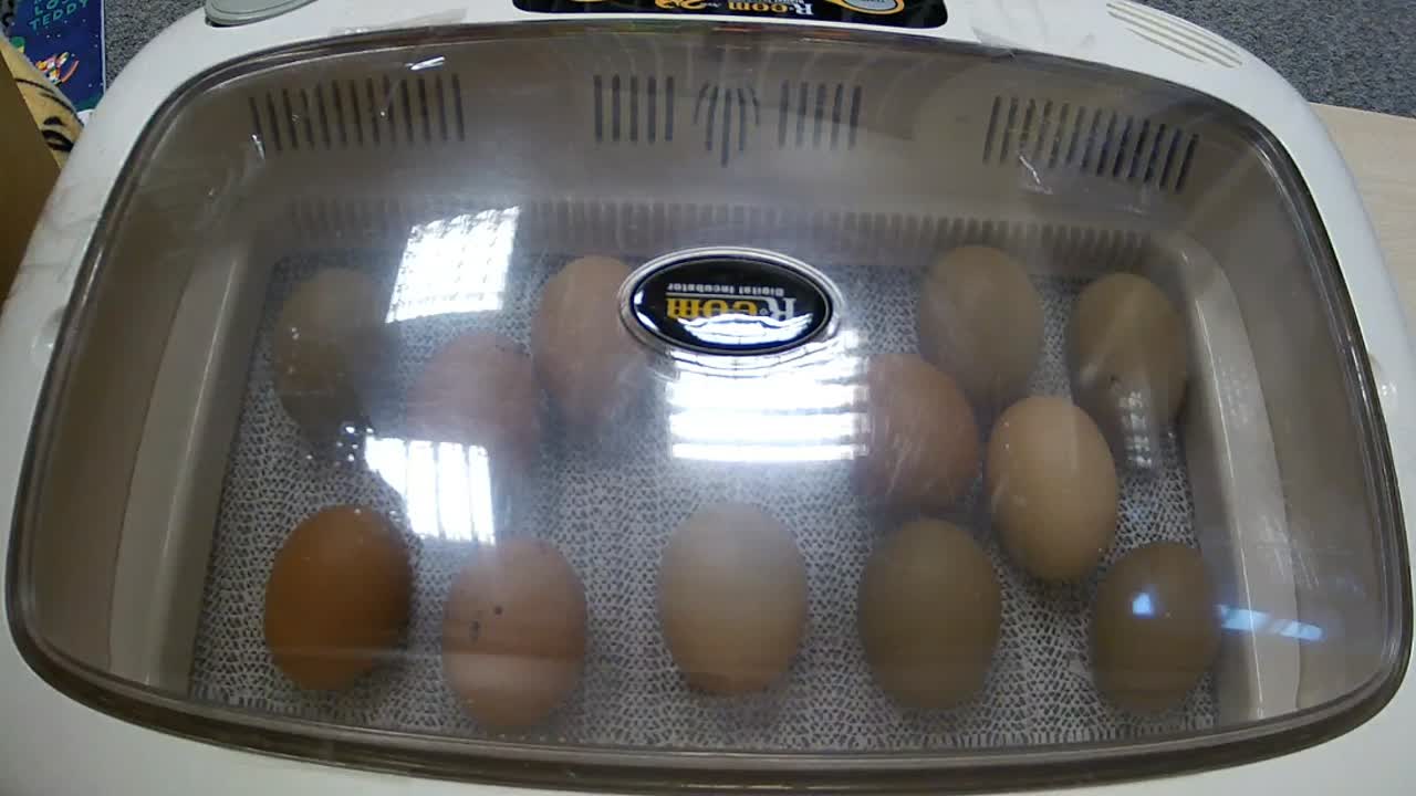 Warley Road Primary Academy